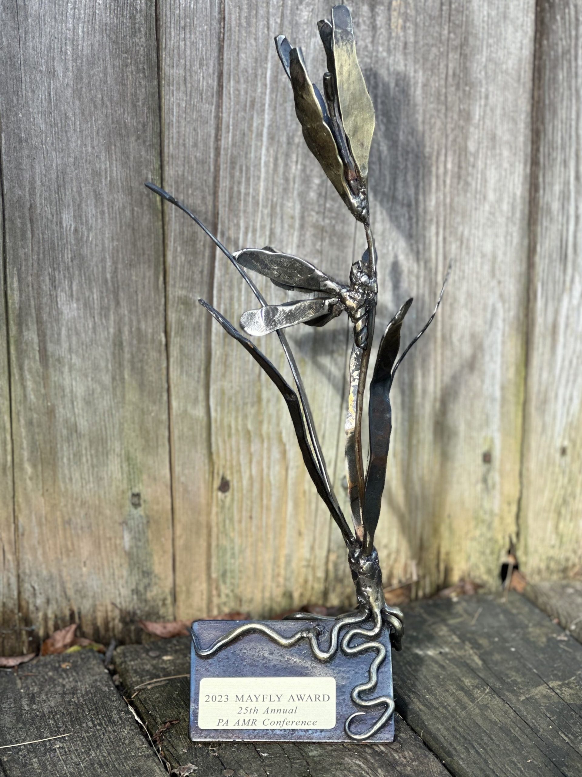 Mayfly Award – 2024 PA AMR CONFERENCE